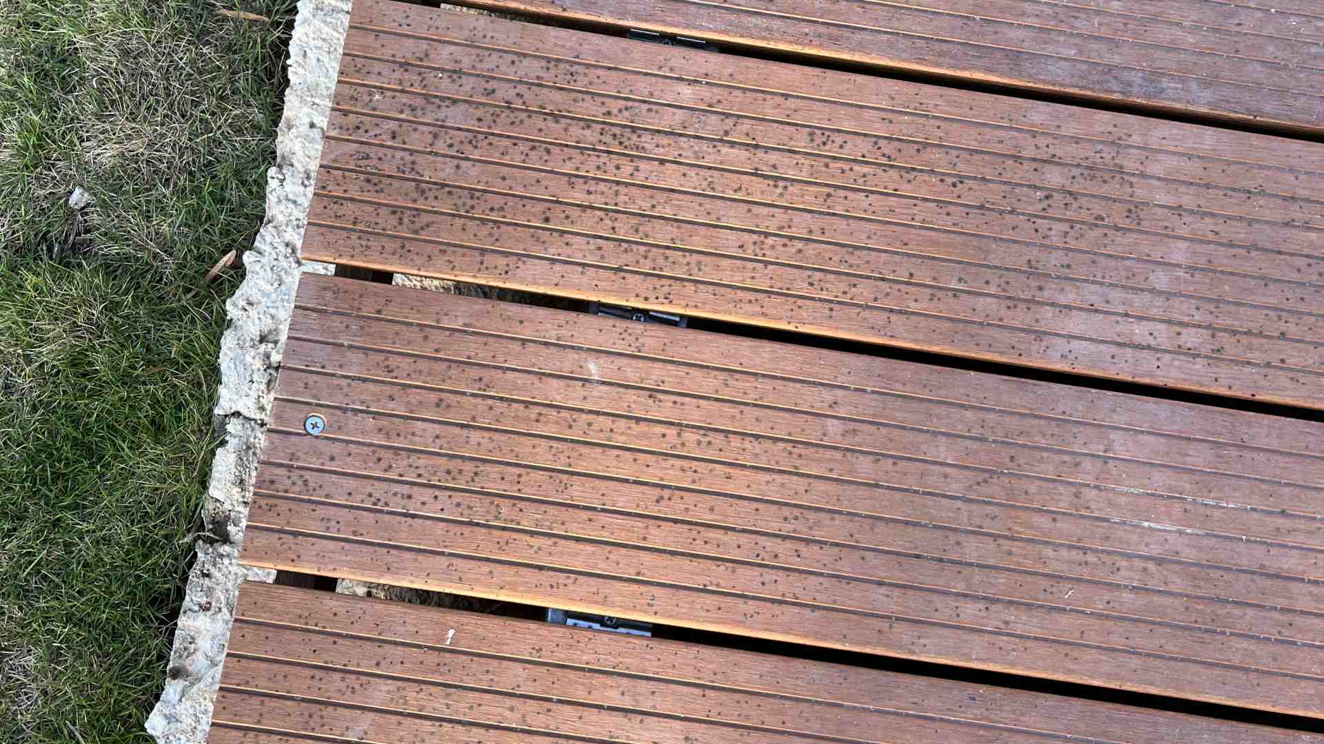 Anti Mold Deck Solution-How To Effectively Prevent Mildew - ANOS ...